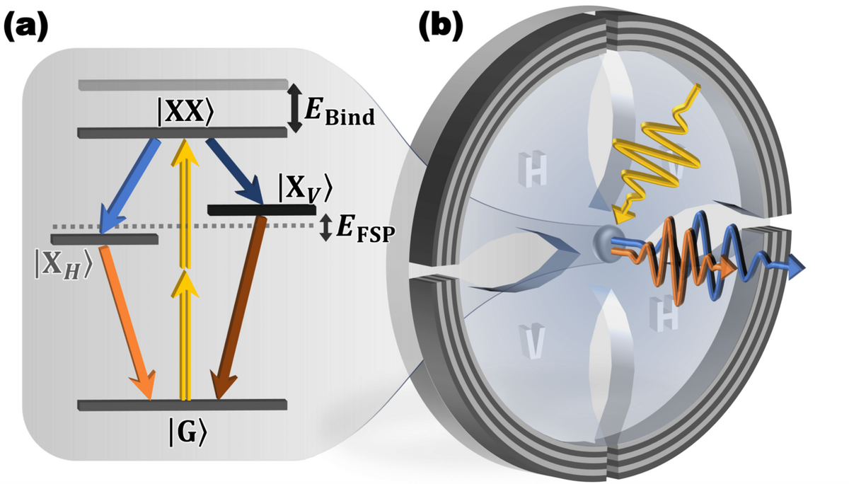 Neue Publikation | Ununterscheidbare und verschränkte Photonen durch ...